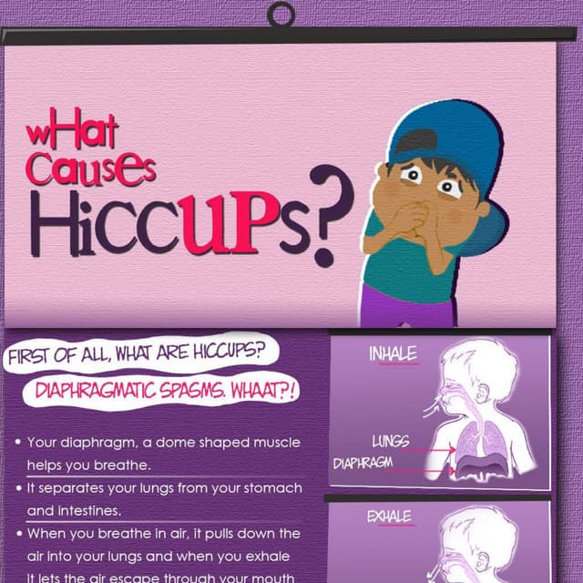 What causes Hiccups – Mocomi.com