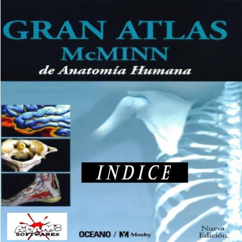 McMinn's Clinical Atlas of Human Anatomy.pdf