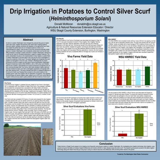 Mc moran drip irrigation to control silver scurf poster for nacaa | PPT