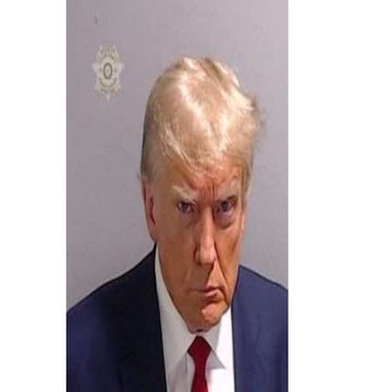 Meghan Sutherland In Media Res Media Component | PPTX