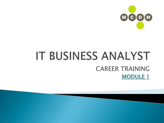 Business analyst ppt | PPTX