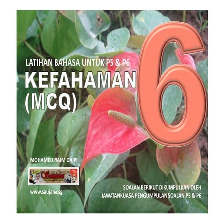 LATIHAN BAHASA MELAYU PSLE - KEFAHAMAN MCQ 06 | PDF