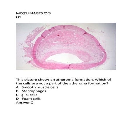 Mcqs images cvs | DOCX