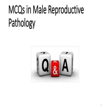 MCQs in male reproductive pathology ss1 | PPTX