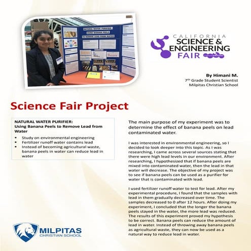 Science Fair Project | PDF