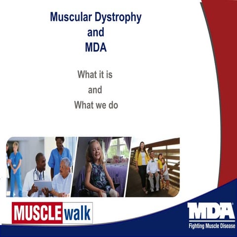 MDA Visual Identity Guidelines | PDF