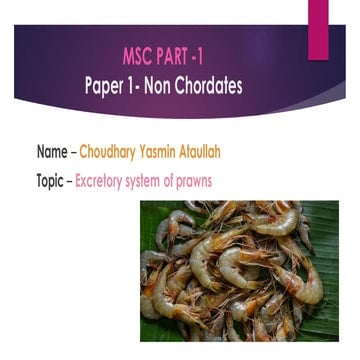 Comparison among fish, amphibian and human circulatory system.pptx