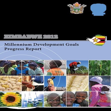 Mdgr 2012final draft 8 | PDF