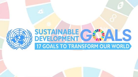 Sustainable Development Goals | PPTX