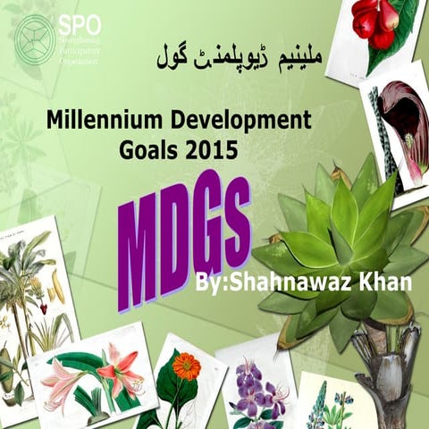 MDGs 2015 Urdu | PPT