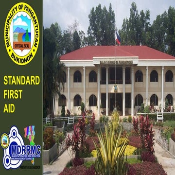 Municipal DRRMO SFA Training Presentation.pptx