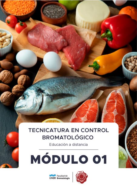 Olla Familiar segun Guias Alimentarias Guatemala.pdf