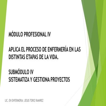 Módulo Profesional Iv Pptx