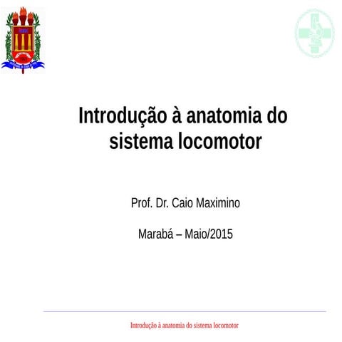 Anatomia da Face Irrigação e Inervação | DOC