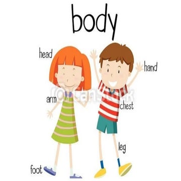 my body topic from the book first friends(2).pptx