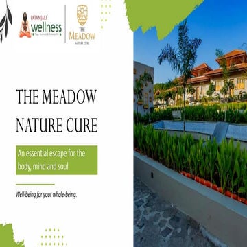 Meadow PPT T Sep 22 pdf.pdf