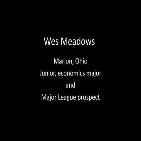 Meadows; slideshow | PPTX
