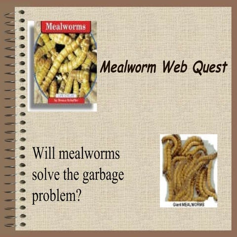 Mealworm WebQuest | PPT | Biological Sciences | Science