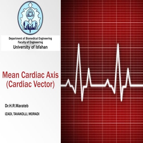 Mean cardiac axis (cardiac vector) | PDF