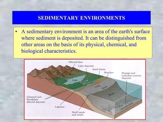 Sedimentary depositional environments | PPTX