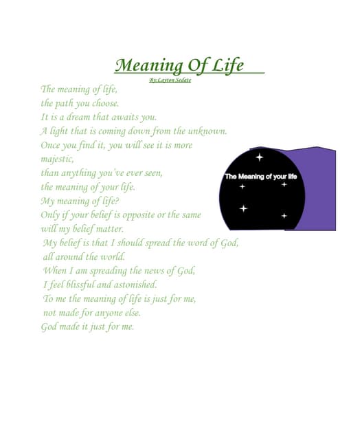 The Meaning Life | PDF