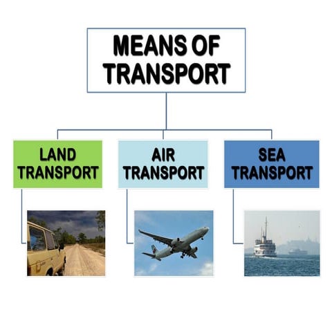 Means of transport (2) | PPT