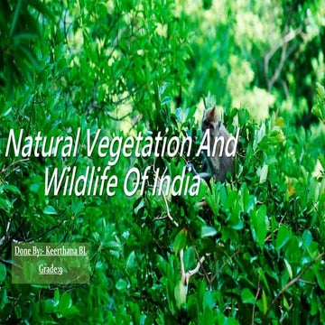 Measures Taken to Preserve Fauna And Flora Of Our Country.pptx