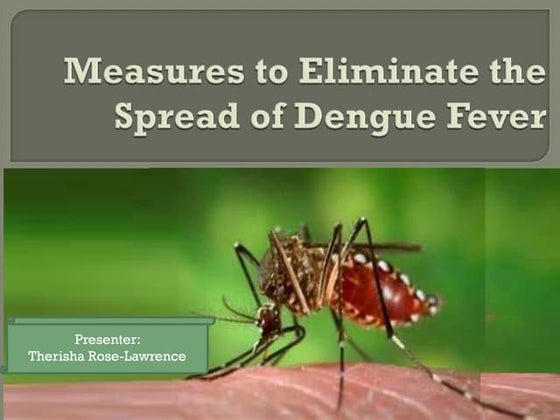 Dengue Fever Awareness | PPT