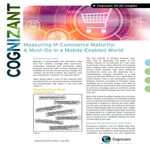 Measuring M-Commerce Maturity: A Must Do in a Mobile Enabled World | PDF