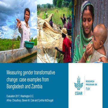 Measuring gender transformative change: case examples from bangladesh ...