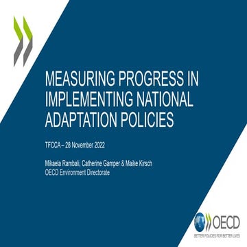 Measuring Progress In Implementing National Adaptation Policiespdf