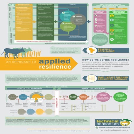 Developing gender responsive indicators | PDF