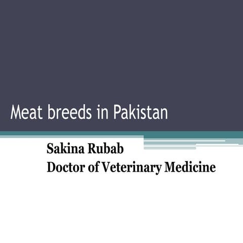 Meat breeds in Pakistan | PPTX