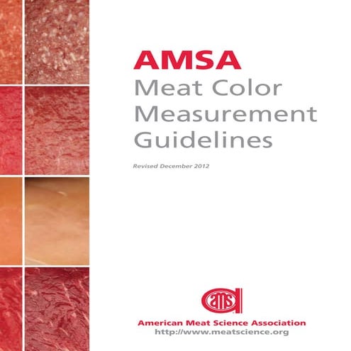 Meat Color Measurment Guidelines | PDF