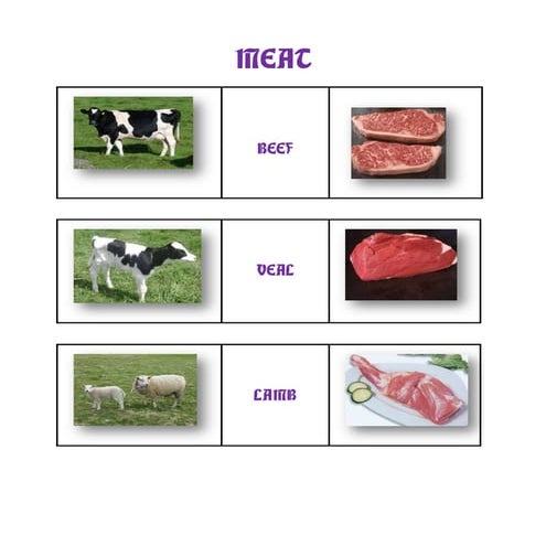 Meat ingles | DOCX
