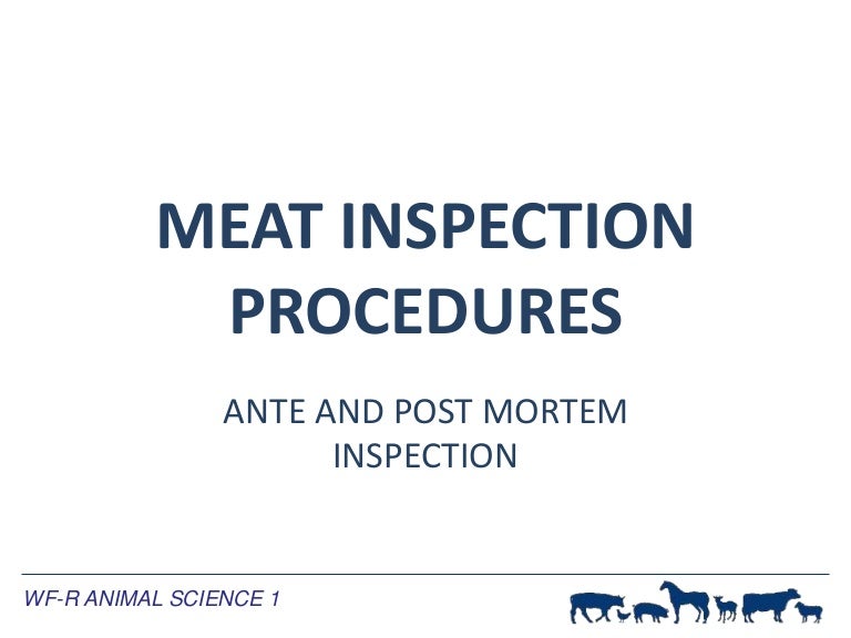 inspection ante mortem abattoir