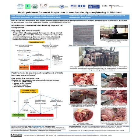Basic guidance for meat inspection in small-scale pig slaughtering in ...