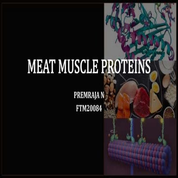 MEAT MUSCLE PROTEINS. Premraja N.pptx