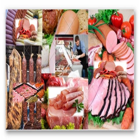 meat product1.pdf