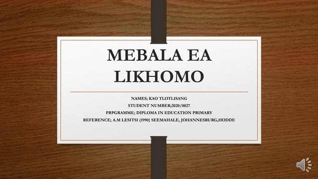 SEBOKO SA BAFOKENG | PPTX