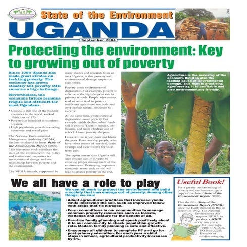 Mdg Poster | PDF
