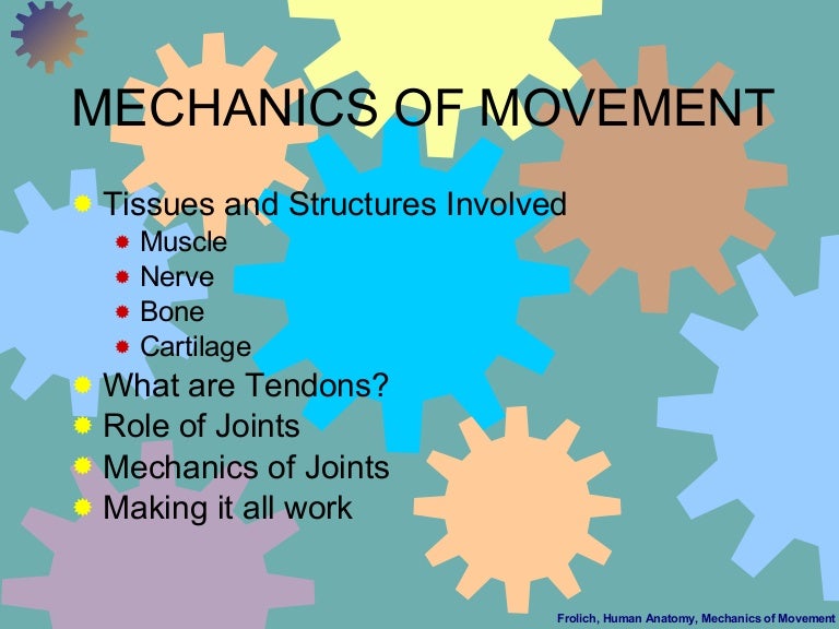 This Image Shows Some Examples Of The Movements Of Joints
