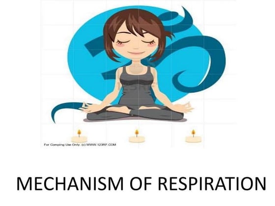 Respiratory system changes during exercises | PPT
