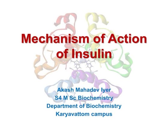 Insulin | PPT