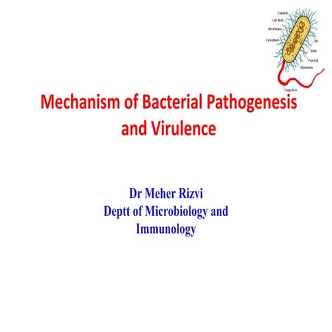 Bacterial secretion system and types .pptx