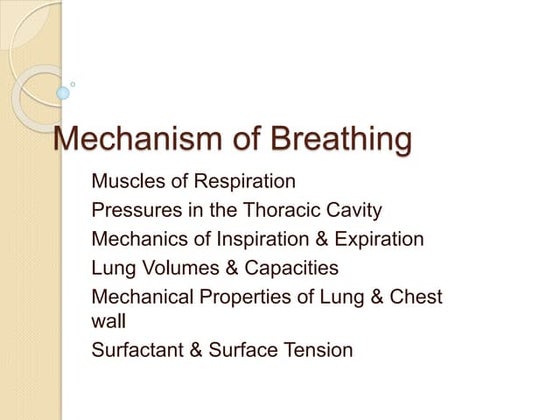 Movements of thoracic wall | PPTX