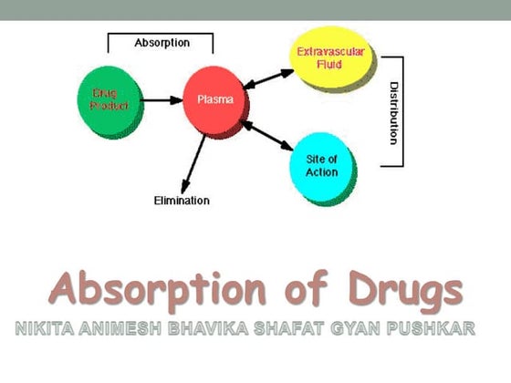 Different Forms of Drug Formulation | PPT