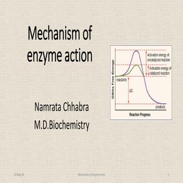 Mechanism of enzyme action | PDF