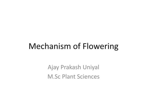 Flower development | PPT