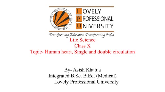 grade 10 Transport System in mammals.pptx